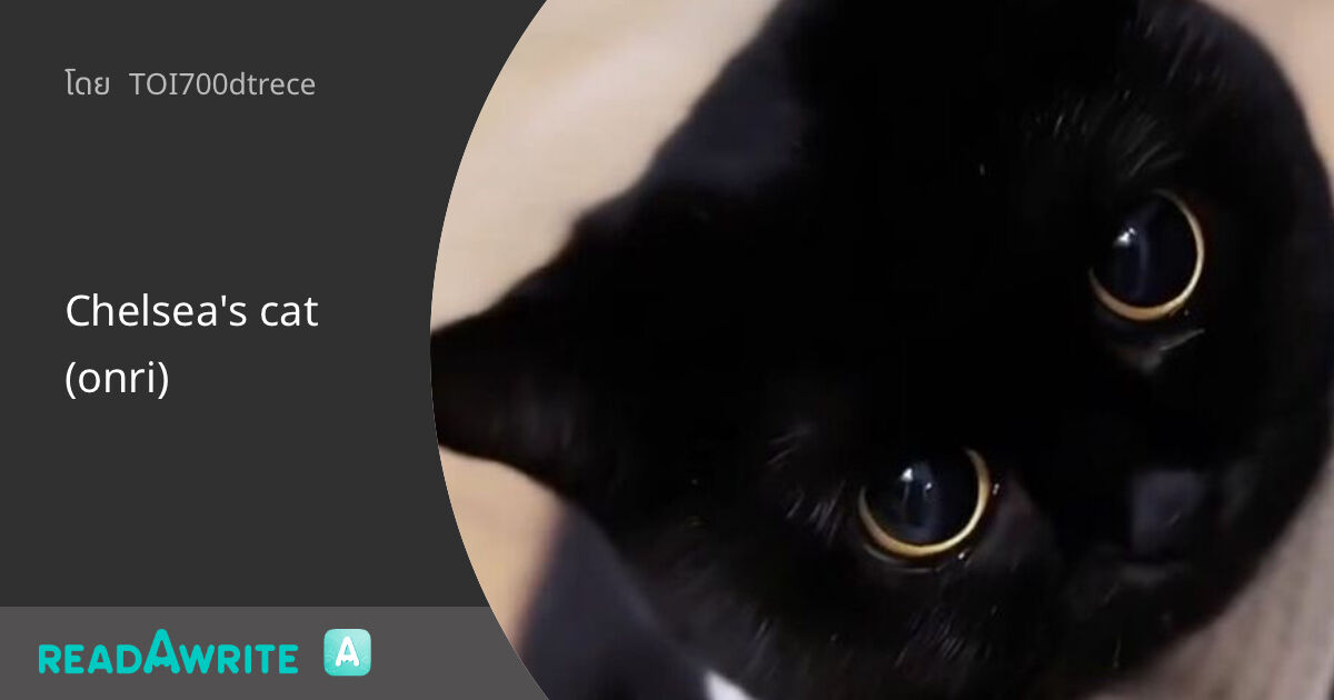 Chelsea's cat (onri): ฟิค Boy Love (แชท)