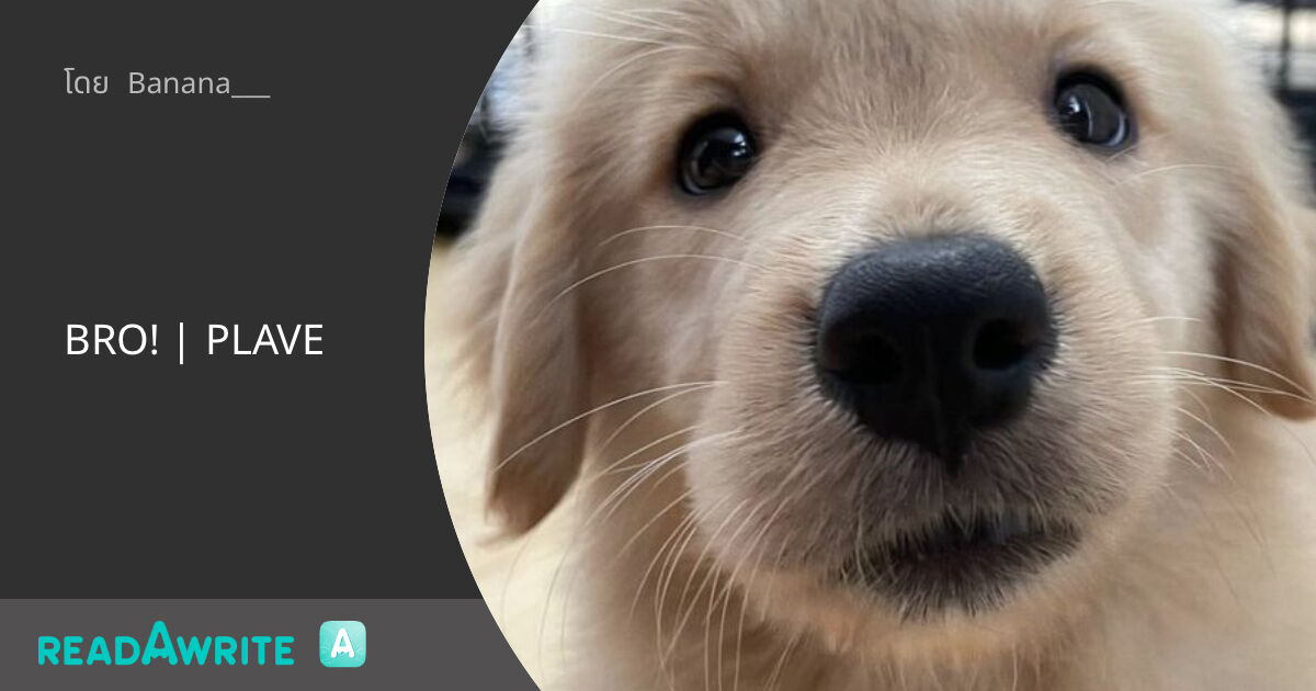 BRO! | PLAVE: ฟิค Boy Love (แชท)