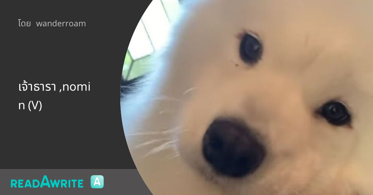 เจ้าธารา ,nomin (V) - สวบ 12 : ฟิค Boy Love (แชท)