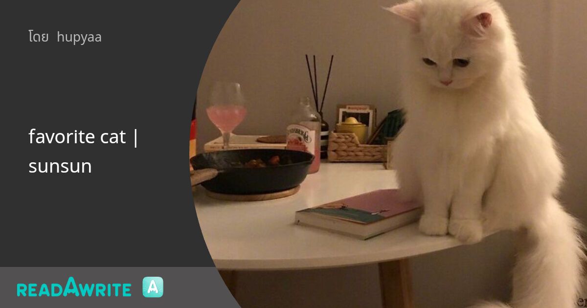 favorite cat | sunsun - chenm4 : ฟิค Boy Love (แชท)