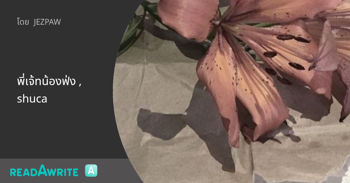 พี่เจ้ทน้องฟ่ง , shuca: ฟิค Boy Love (แชท)