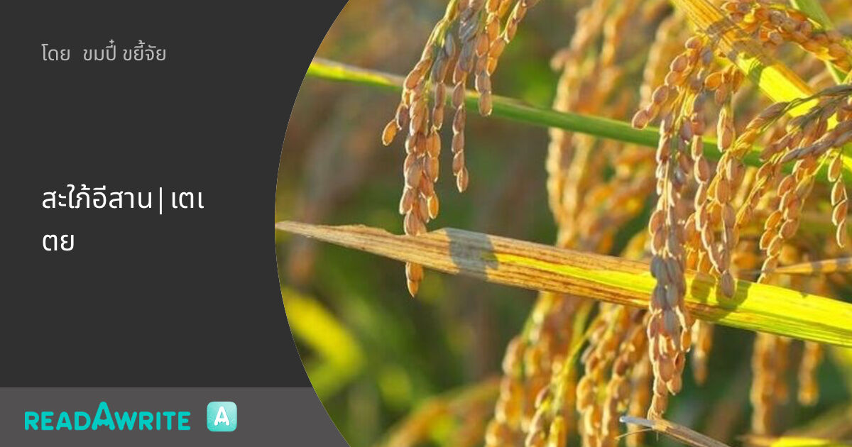 สะใภ้อีสาน|เตเตย - 🥲🥲 : ฟิค Love Novel (แชท)