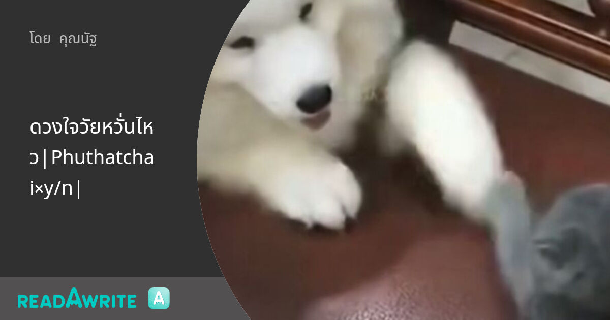 ดวงใจวัยหวั่นไหว|Phuthatchai×y/n|: ฟิคฟรีสไตล์ (แชท)