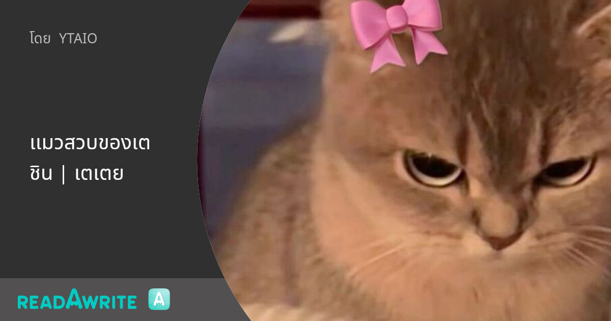 เเมวสวบของเตชิน | เตเตย: ฟิค Love Novel (แชท)