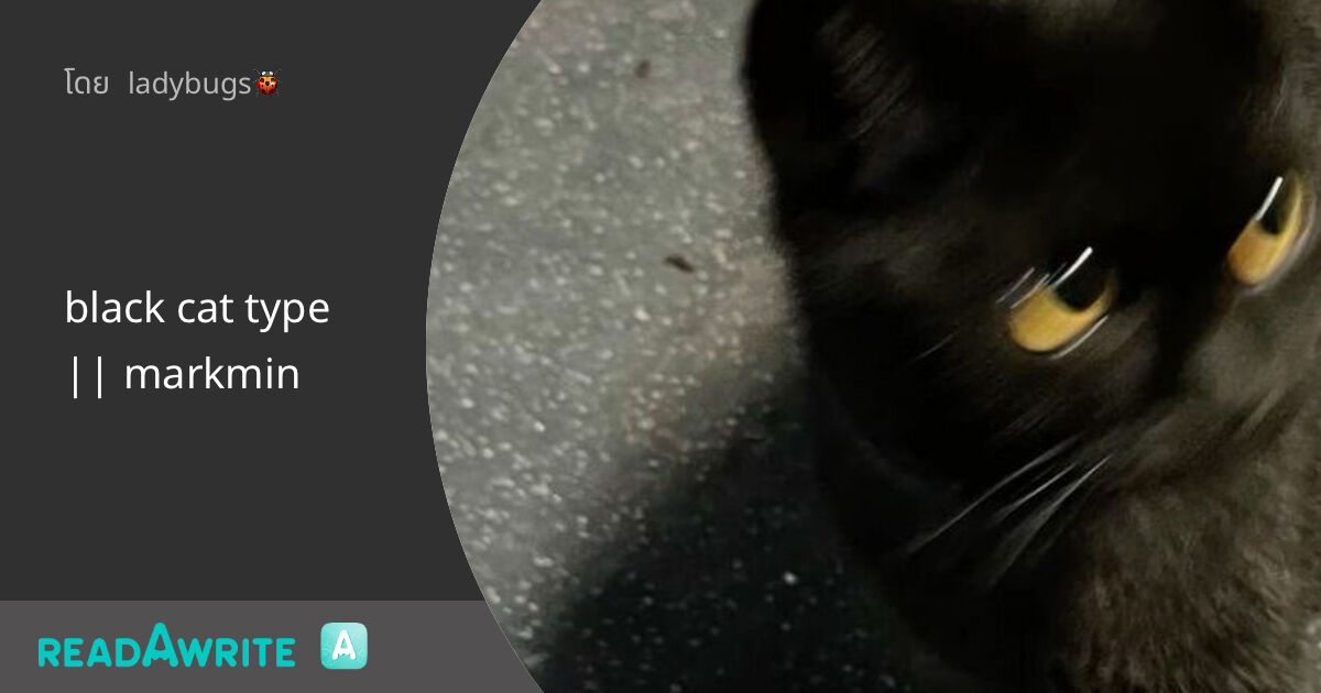 black cat type || markmin: ฟิค Boy Love (แชท)