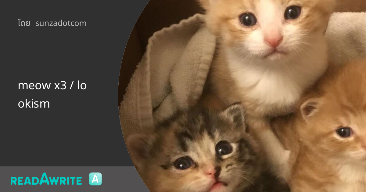 meow x3 / lookism: ฟิค Boy Love (แชท)