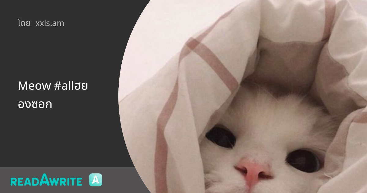 Meow #allฮยองซอก - 2 : ฟิค Boy Love (แชท)