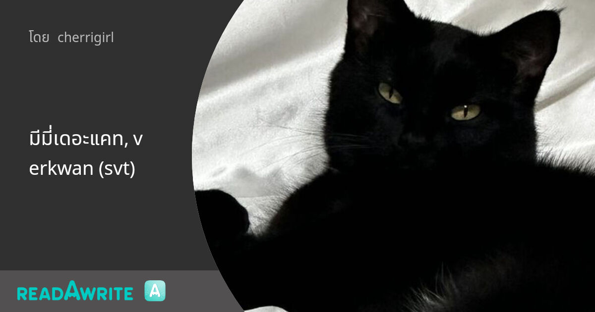 มีมี่เดอะแคท, verkwan (svt): ฟิค Boy Love (แชท)