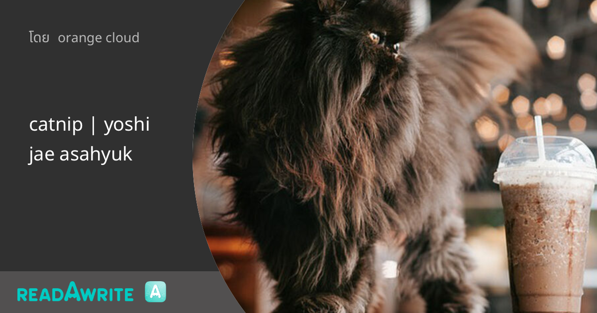 catnip | yoshijae asahyuk: ฟิค Boy Love (แชท)