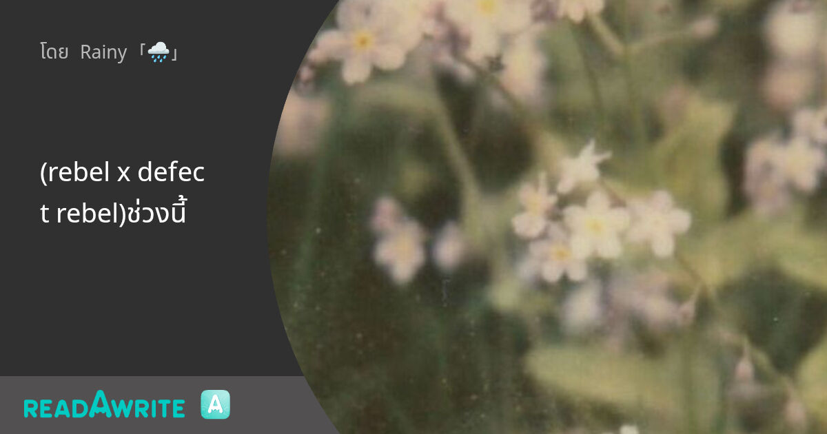 (rebel x defect rebel)ช่วงนี้: ฟิค Boy Love (แชท)