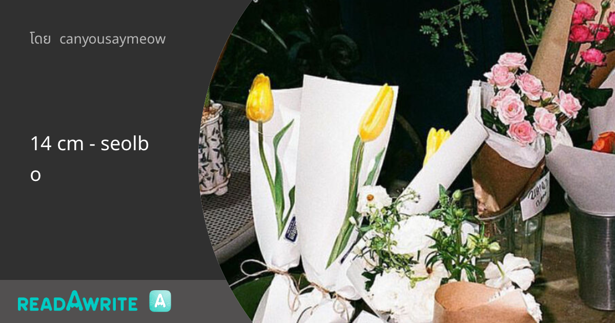 14 cm - seolbo - 3 : ฟิค Girl Love (แชท)