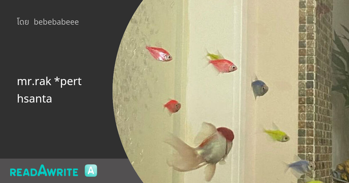 mr.rak *perthsanta - s : ฟิคฟรีสไตล์ (แชท)