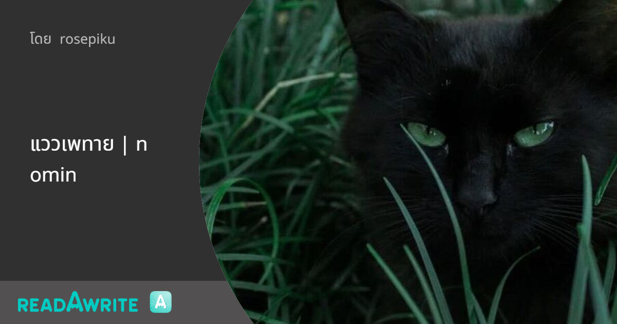 แววเพทาย | nomin - 01 : ฟิคฟรีสไตล์ (แชท)