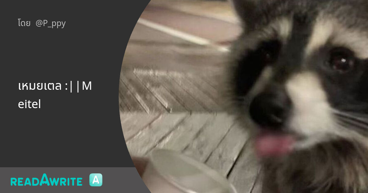 เหมยเตล :||Meitel: ฟิค Girl Love (แชท)