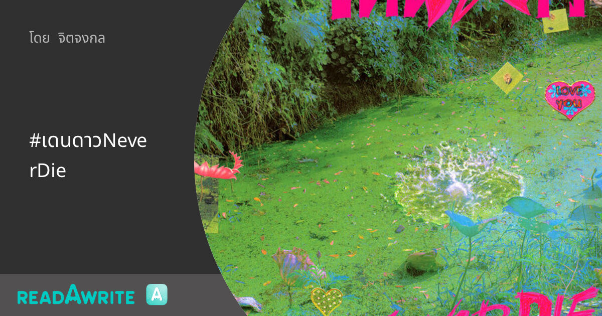 #เดนดาวNeverDie: นิยาย Boy Love Lovely Room