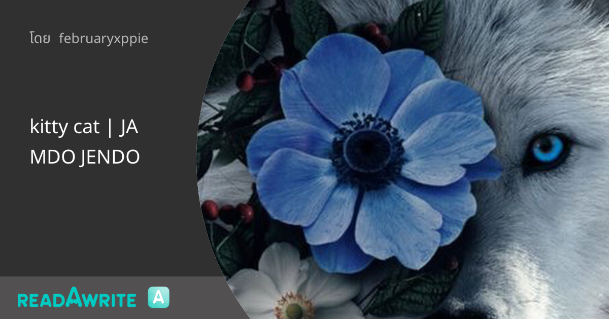 kitty cat | JAMDO JENDO: ฟิค Boy Love (แชท)