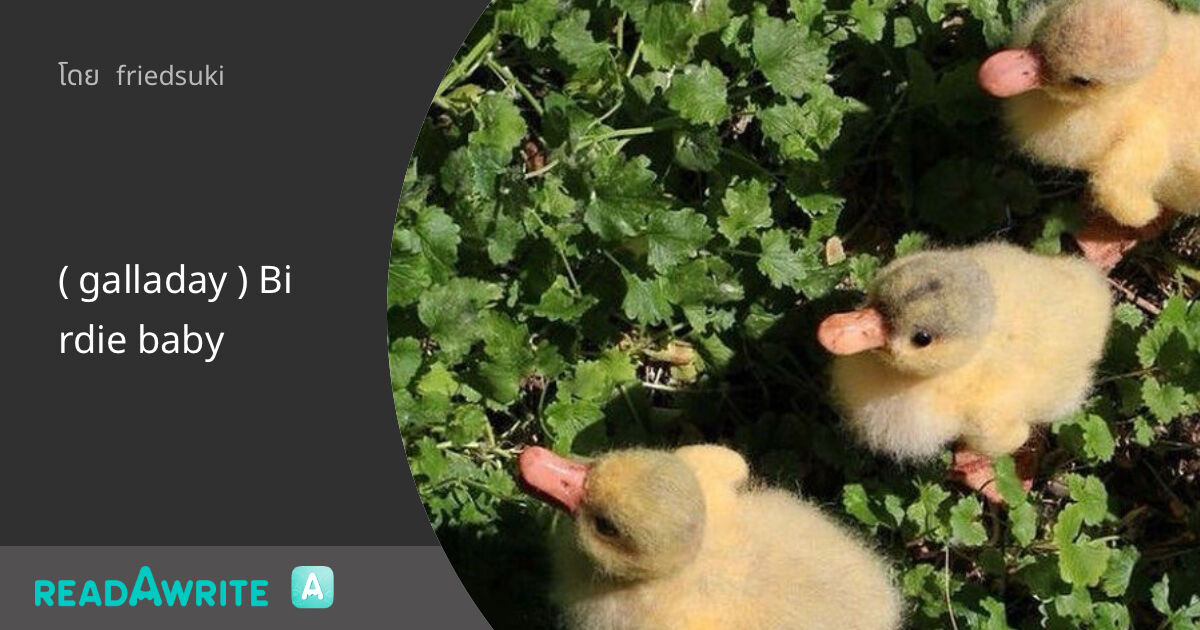 ( galladay ) Birdie baby: ฟิค Boy Love (บรรยาย)