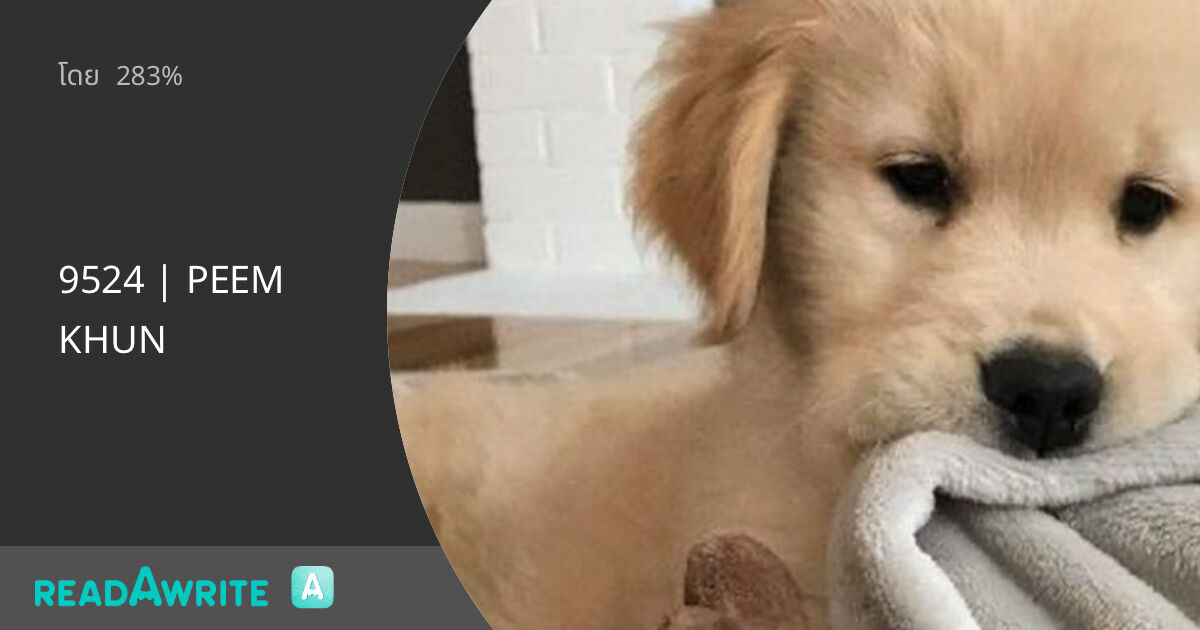 9524 | PEEMKHUN - 3 - AU | i told sunset about you -: ฟิคฟรีสไตล์ (บรรยาย)