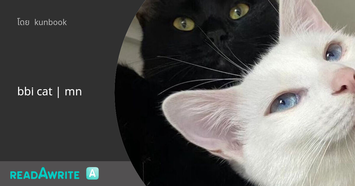 bbi cat | mn - my love language : ฟิค Boy Love (แชท)