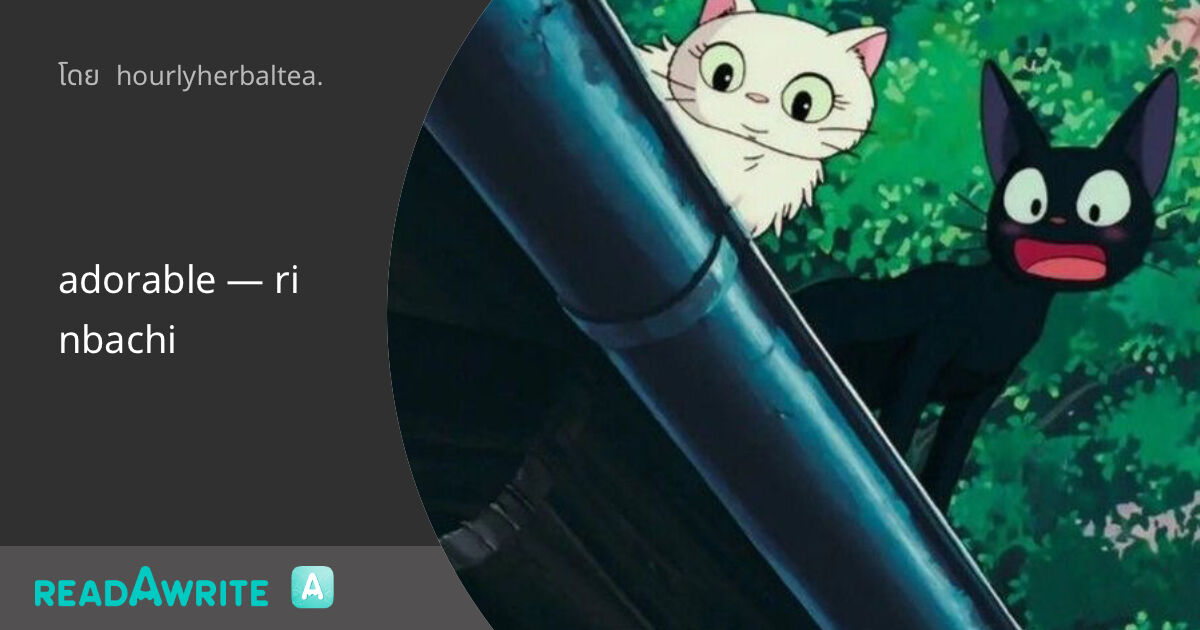 adorable — rinbachi: ฟิค Boy Love (แชท)