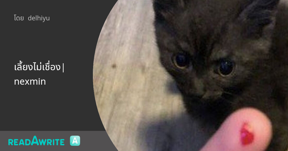 เลี้ยงไม่เชื่อง| nexmin - - : ฟิค Boy Love (แชท)