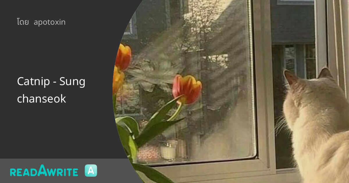 Catnip - Sungchanseok: ฟิค Boy Love (แชท)