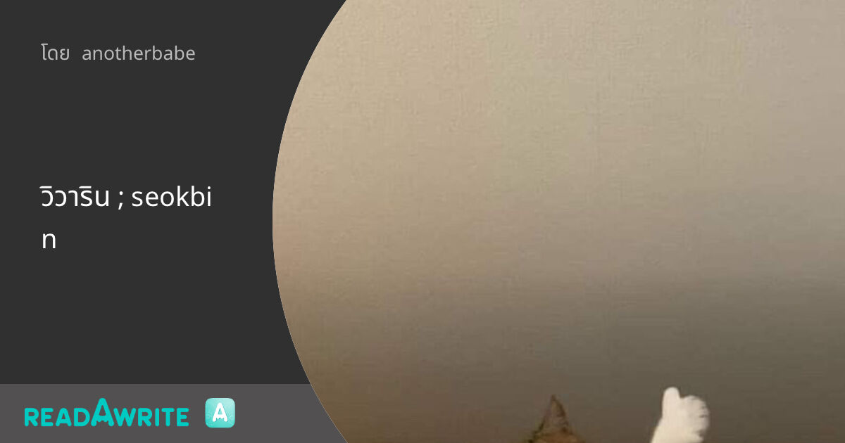 วิวาริน ; seokbin: ฟิค Boy Love (แชท)