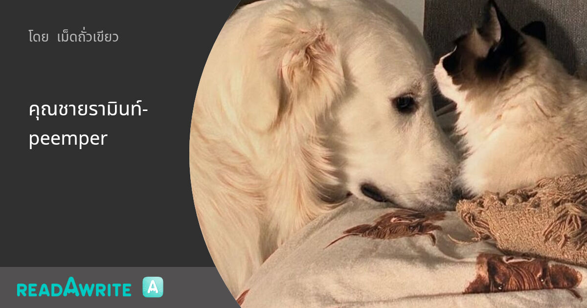 คุณชายรามินท์-peemper: ฟิค Boy Love (แชท)