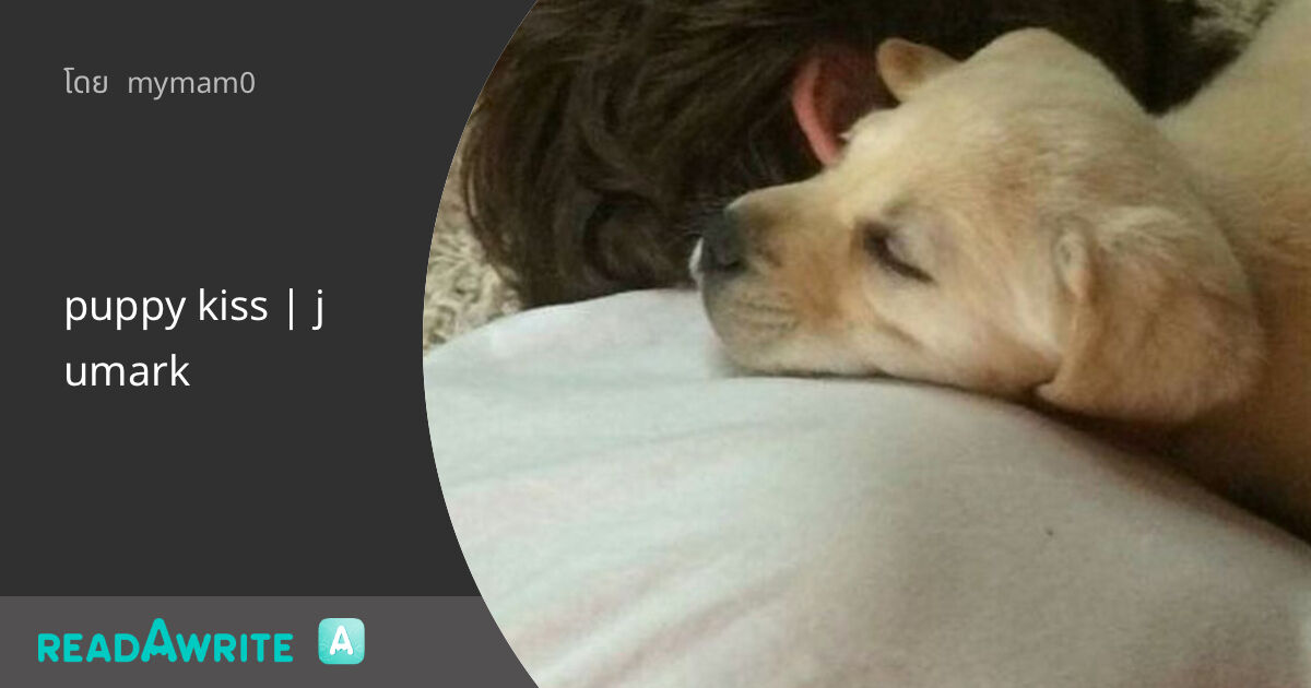 puppy kiss | jumark - episode1 พบพา : ฟิค Boy Love (แชท)