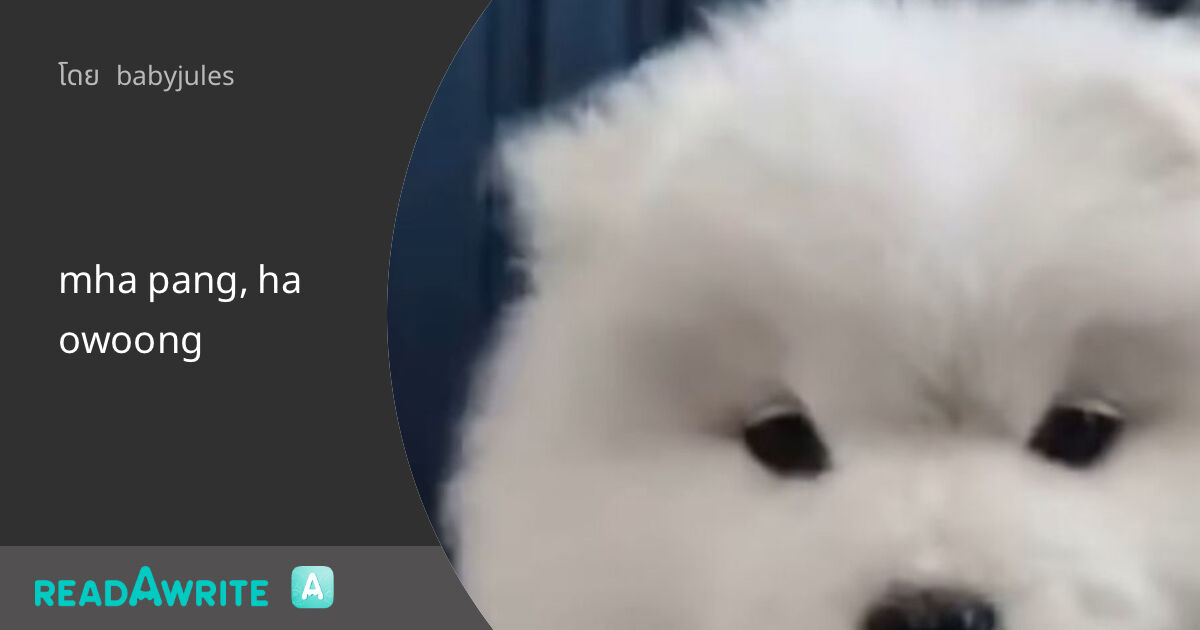 mha pang, haowoong: ฟิค Boy Love (แชท)