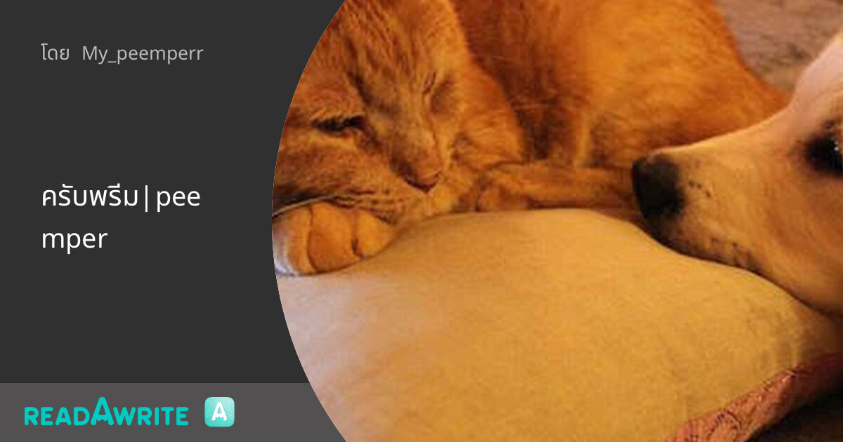 ครับพรีม|peemper: ฟิค Boy Love (แชท)