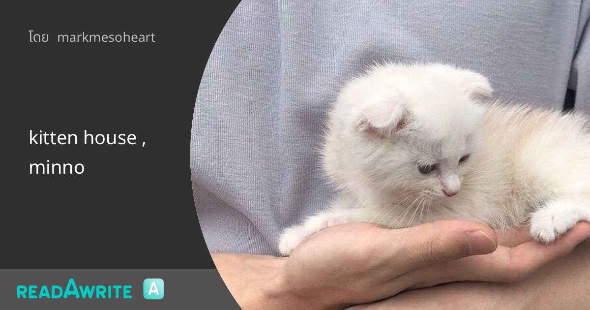 kitten house , minno - 11 : ฟิค Boy Love (แชท)