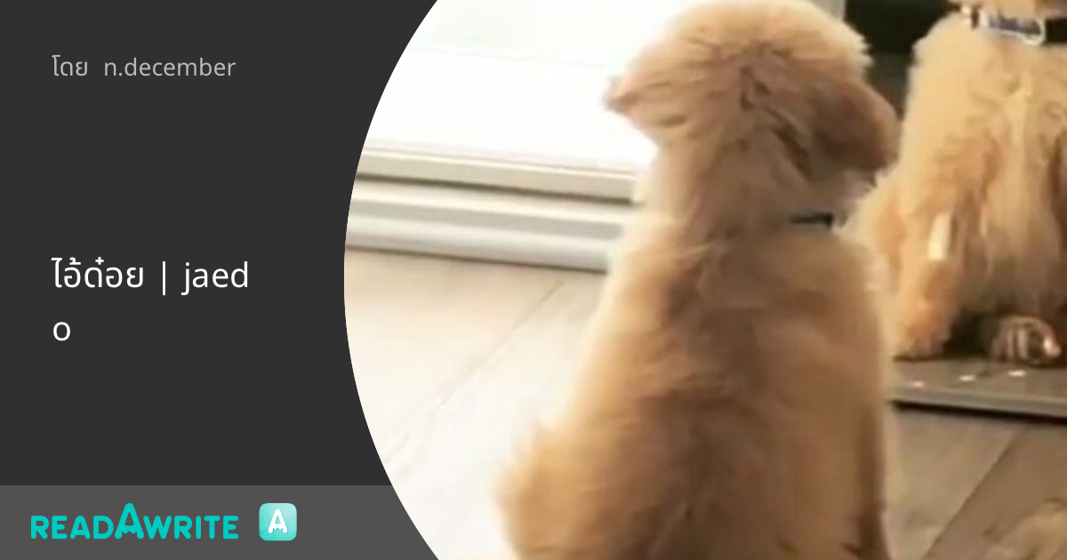 ไอ้ด๋อย | jaedo: ฟิคฟรีสไตล์ (แชท)