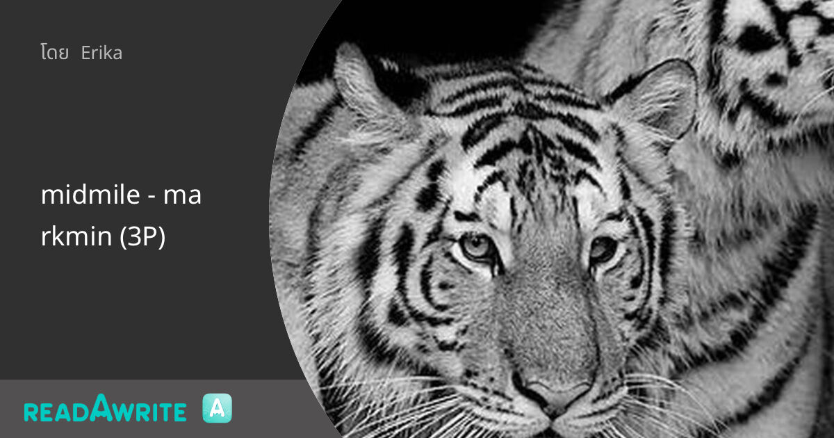 midmile - markmin (3P): ฟิค Boy Love (แชท)