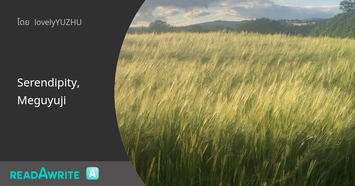 Serendipity, Meguyuji: ฟิค Boy Love (บรรยาย)