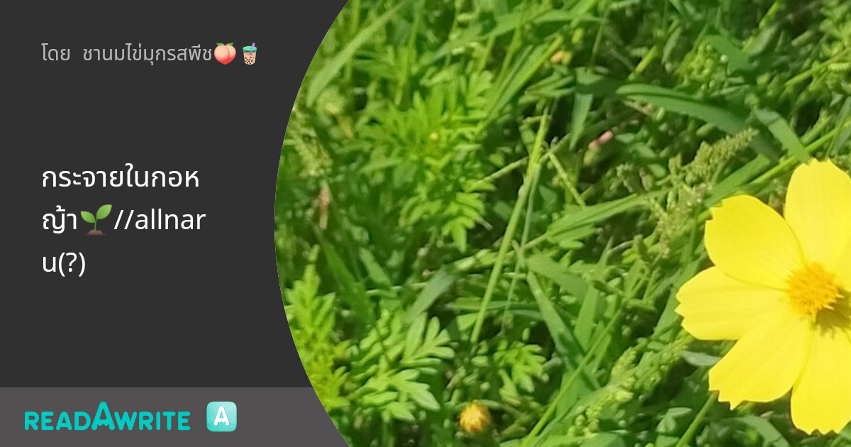 กระจายในกอหญ้า🌱//allnaru(?): ฟิค Boy Love (แชท)