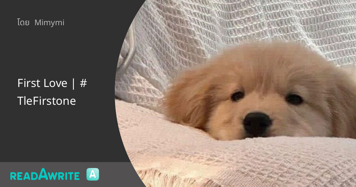 First Love | #TleFirstone: ฟิค Boy Love (แชท)
