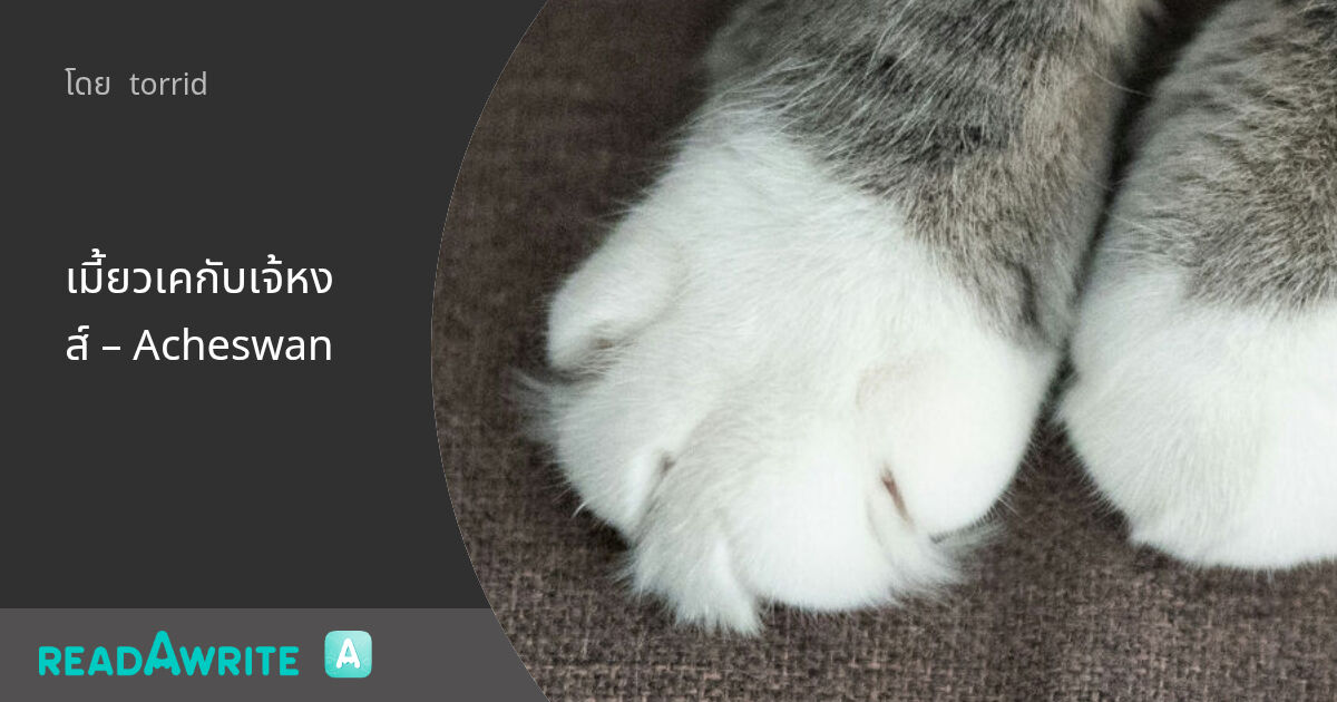 เมี้ยวเคกับเจ้หงส์ – Acheswan - 13 : ฟิค Girl Love (บรรยาย)