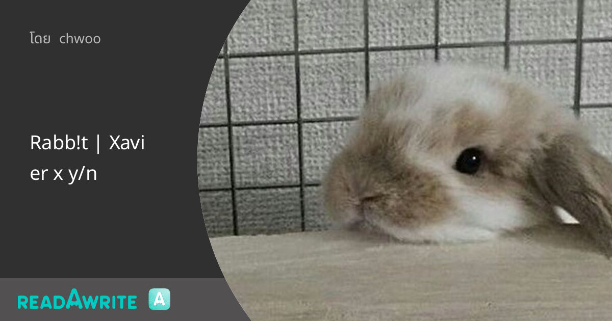 Rabb!t | Xavier x y/n: ฟิค Love Novel (แชท)