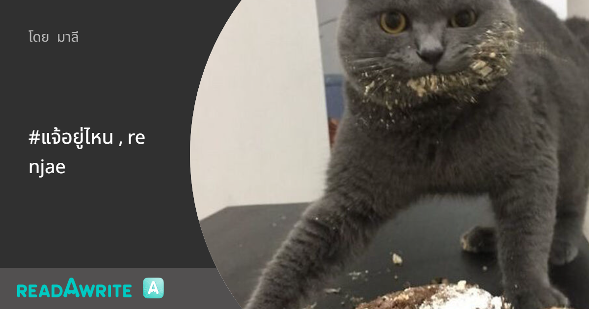 #แจ้อยู่ไหน , renjae: ฟิค Boy Love (แชท)