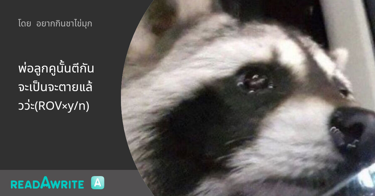 พ่อลูกคูนั้นตีกันจะเป็นจะตายแล้วว่ะ(ROV×y/n): ฟิค Boy Love (แชท)