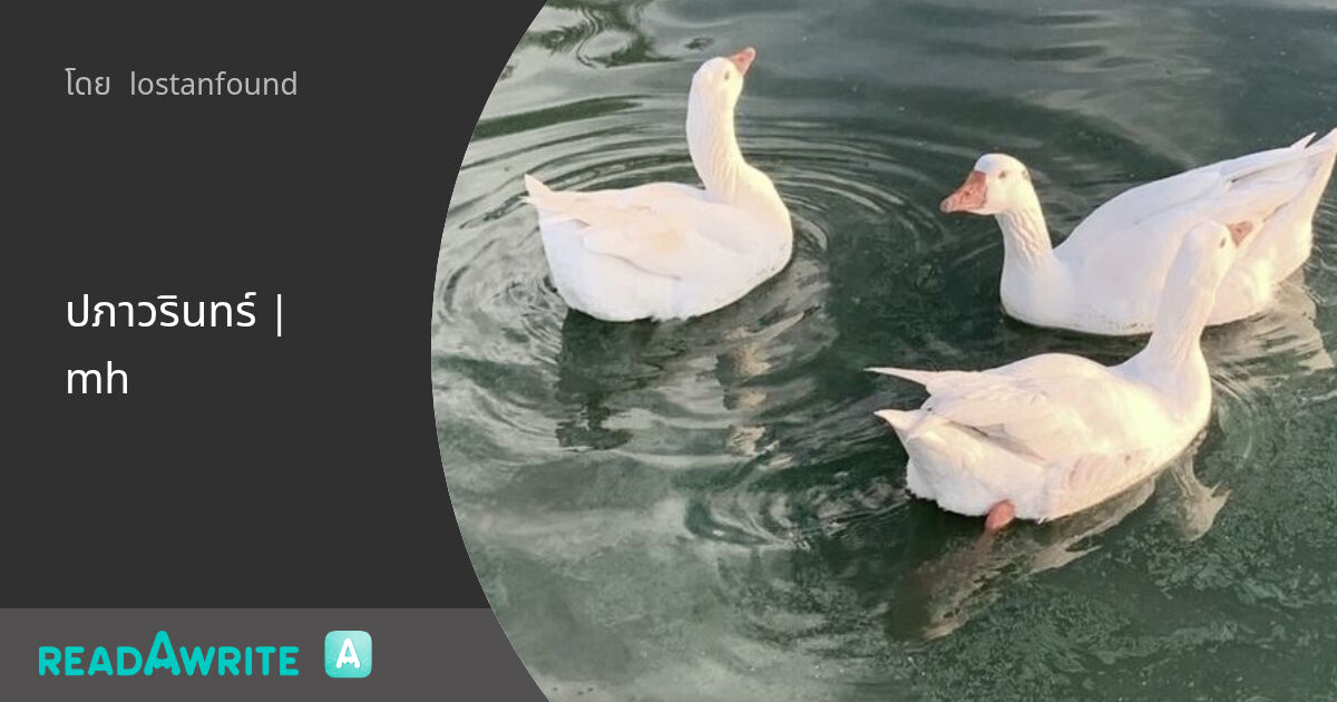 ปภาวรินทร์ | mh: ฟิค Boy Love (แชท)