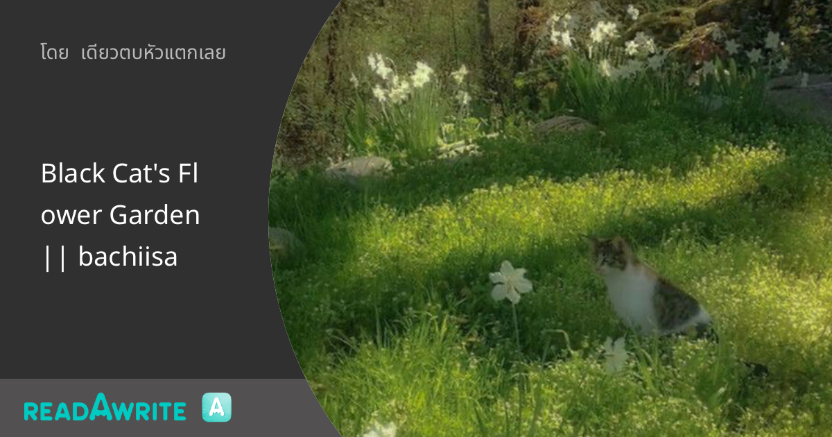 Black Cat's Flower Garden || bachiisa: ฟิค Boy Love (แชท)