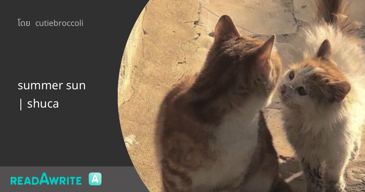 summer sun | shuca: ฟิค Boy Love (แชท)