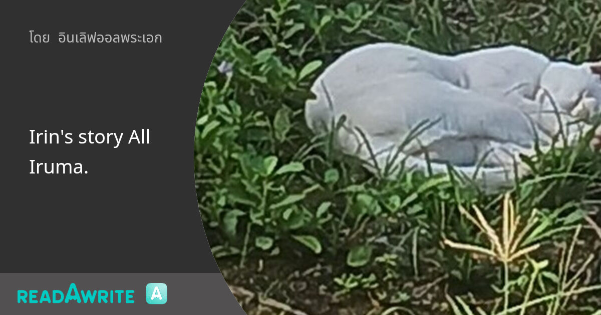 Irin's story AllIruma.: ฟิคฟรีสไตล์ (แชท)