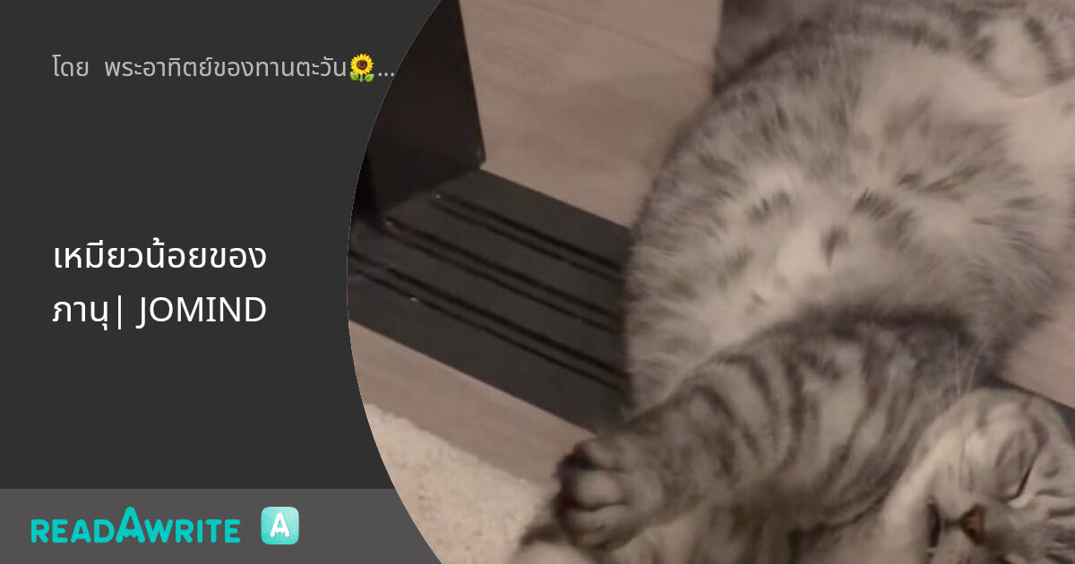 เหมียวน้อยของภานุ| JOMIND: ฟิค Girl Love (แชท)