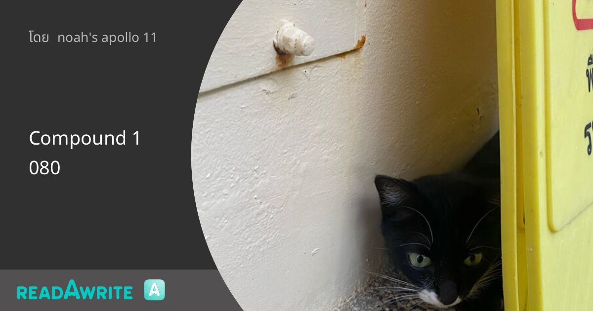 Compound 1080: แนวทางเลือก