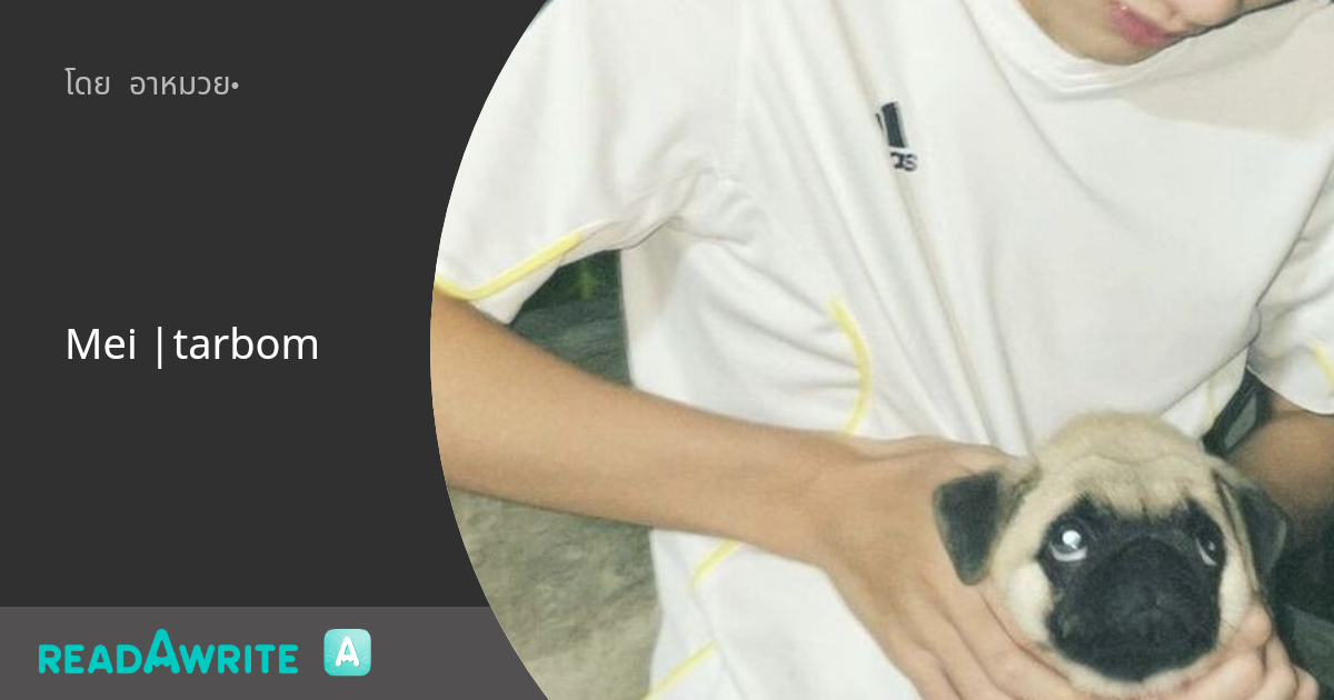 Mei |tarbom - Mei |tarbom : ฟิค Boy Love (แชท)