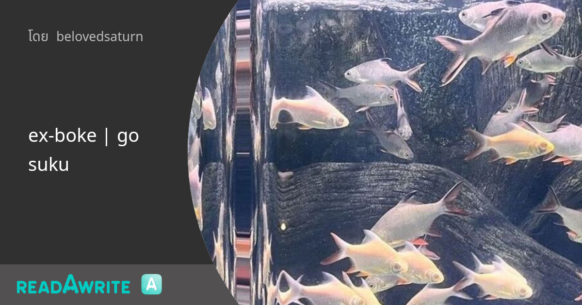 ex-boke | gosuku - DGMW : ฟิค Boy Love (แชท)