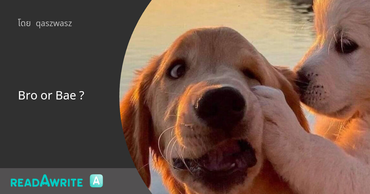 Bro or Bae ?: ฟิค Boy Love (บรรยาย)